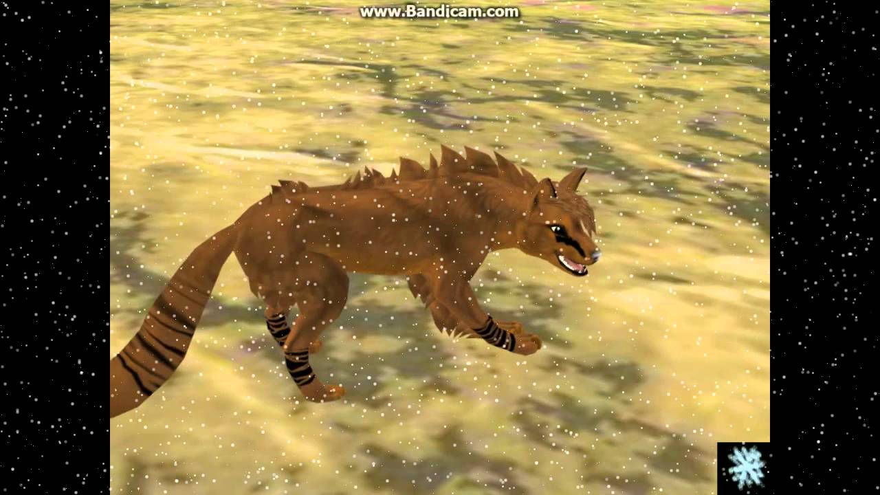 ALBATROSS -feral heart- - YouTube