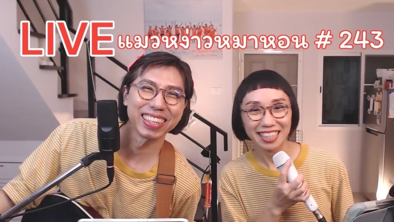 แมวหง่าวหมาหอน EP : 243 ( LIVE ) l แมวเศษเล็บ - YouTube
