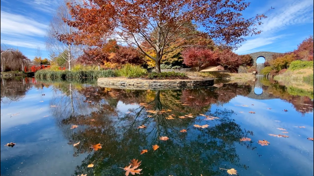 Mayfield Garden with Autumn colours, Oberon, NSW - YouTube