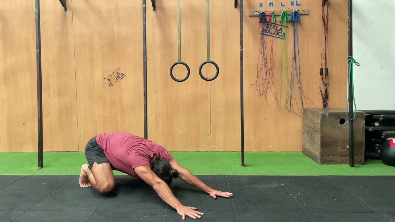 Loaded Beast to Front Kick Through - YouTube