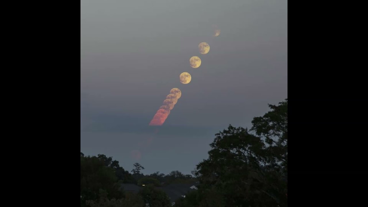 [FREE] inspiring ukulele type beat ~ "moons" (prod. isolated x jang0 ...