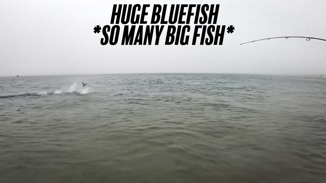 MONSTER BLUEFISH - Foggy Surf Fishing - Long Island - 2020 - YouTube