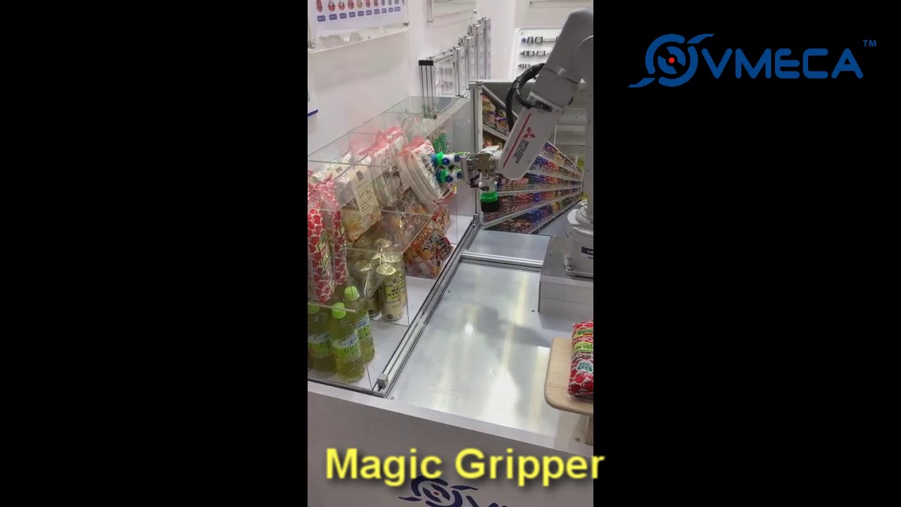 VMECA Magic Gripper Robot Demo with 2 vacuum heads - YouTube