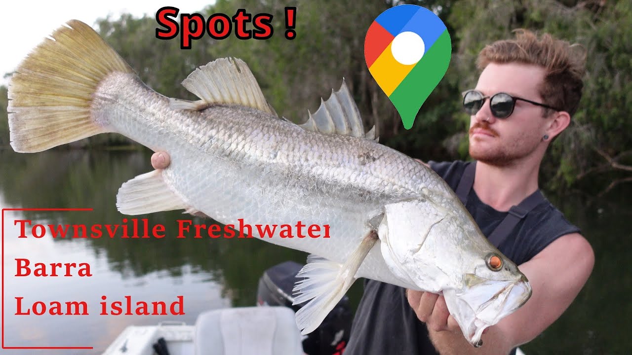 Townsville Freshwater Barramundi LOAM ISLAND ROSS RIVER - YouTube