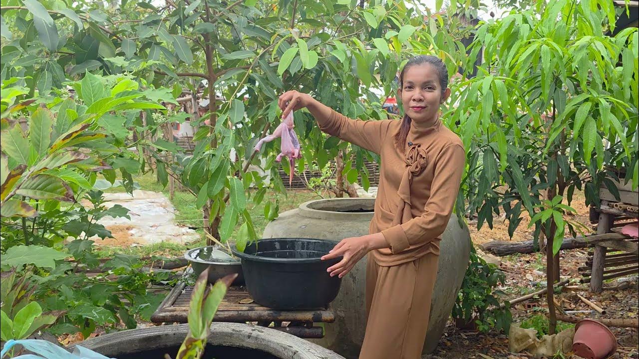 ភ្លៀងមួយមេធំទាំងព្រឹក កង្កែបចេញពេញផ្សារ សម្លម្ជូគ្រឿងកង្កែប #ahmey - YouTube