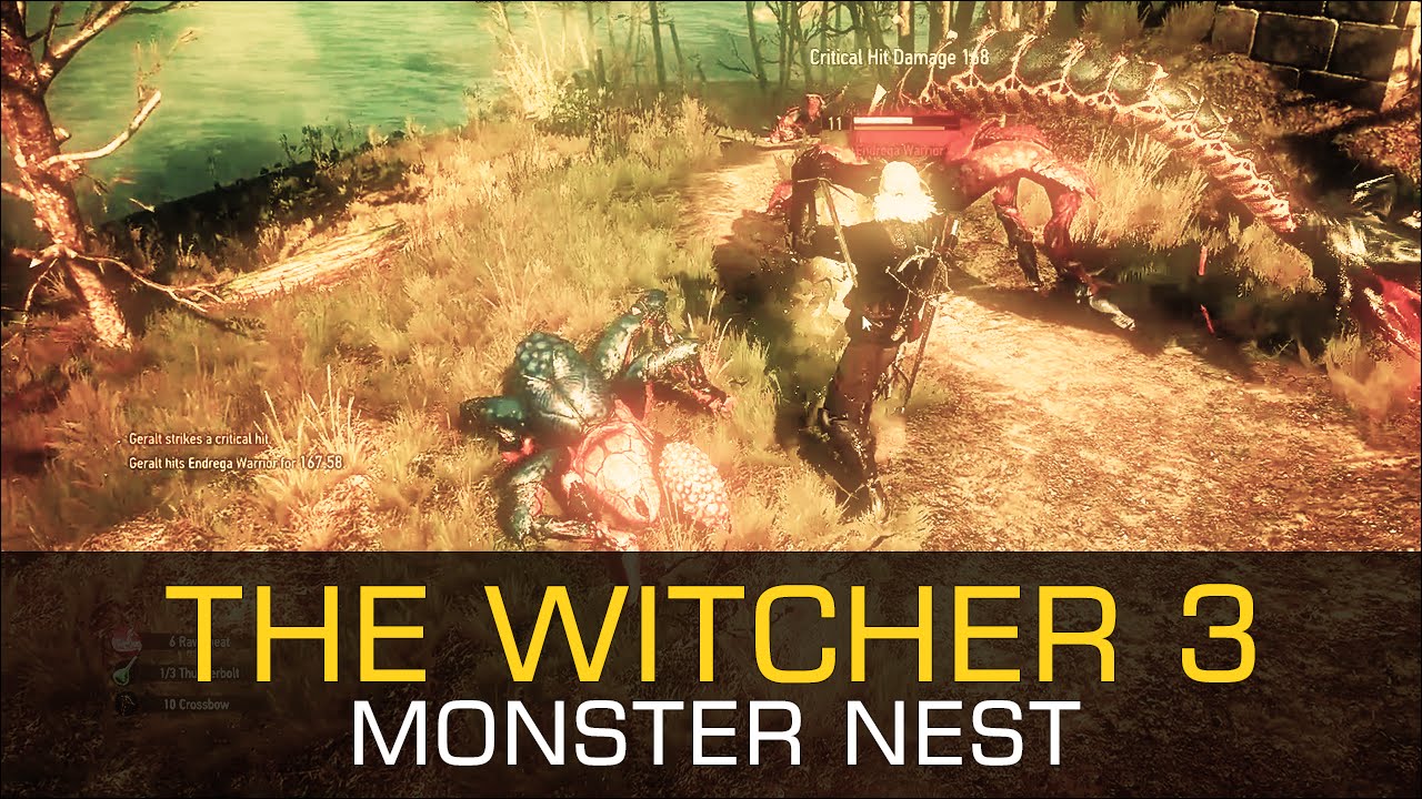 Monster Nest DIAGRAM GRIFFIN STEEL SWORD HARPY NOVIGRAD VELEN - The ...