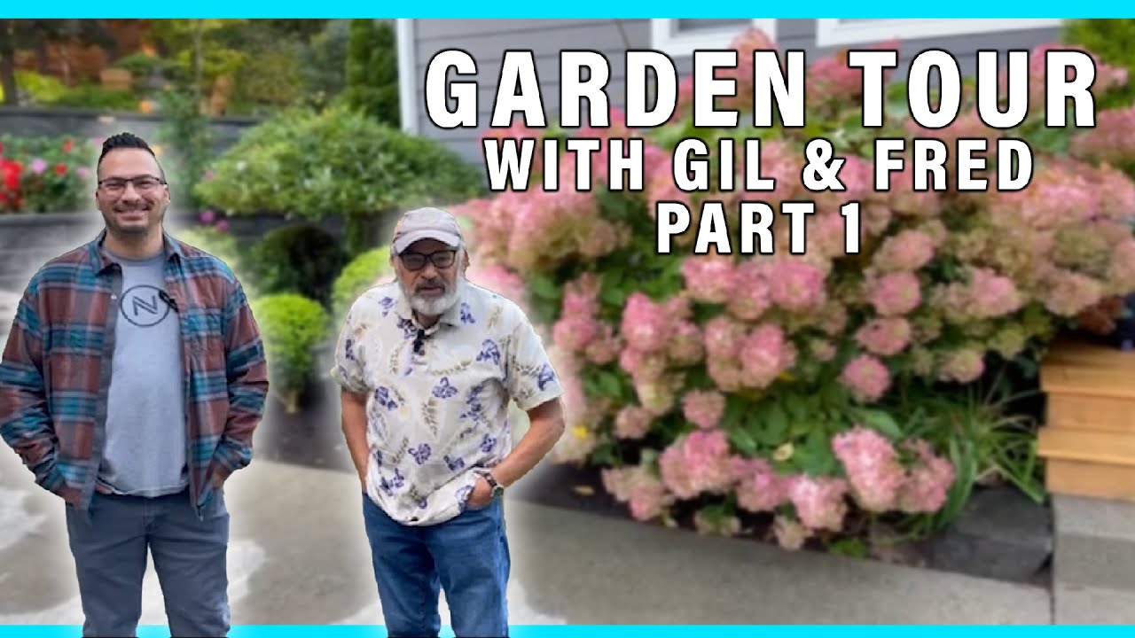 Exploring a Beautiful Garden: Fred’s Greenhouse and Stunning Plant ...