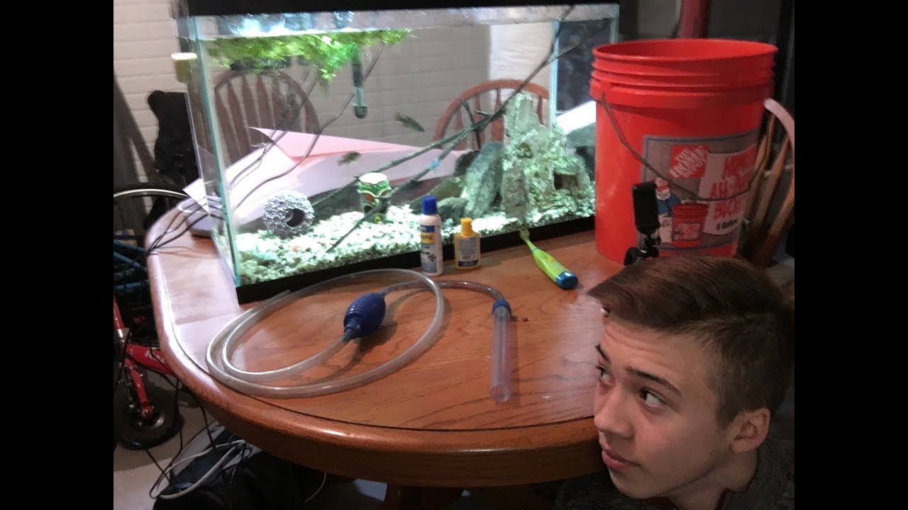 How to clean a Fresh water Fish Tank - YouTube