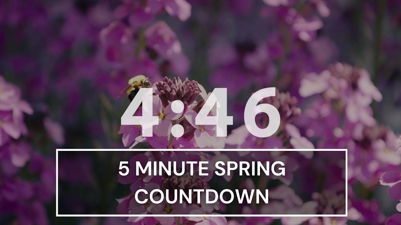 5-Minute Countdown Timer – Relaxing Spring - YouTube