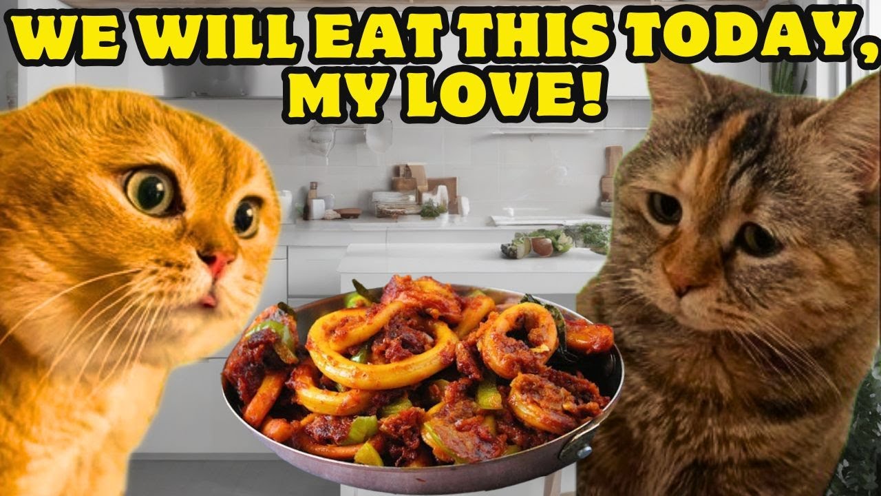 When a Cat Gets Stomach Ache After Eating Weird Food #catmemes (Ep.203 ...