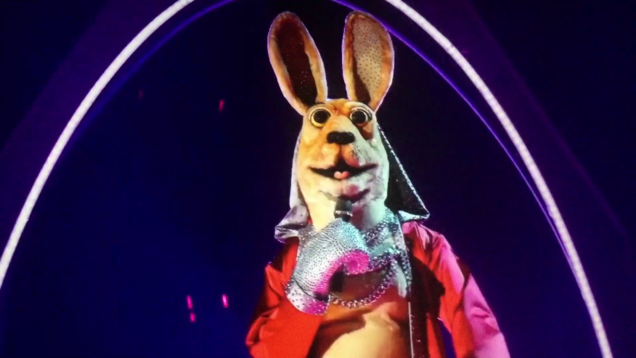 The Masked singer América kangaroo song 3 - YouTube
