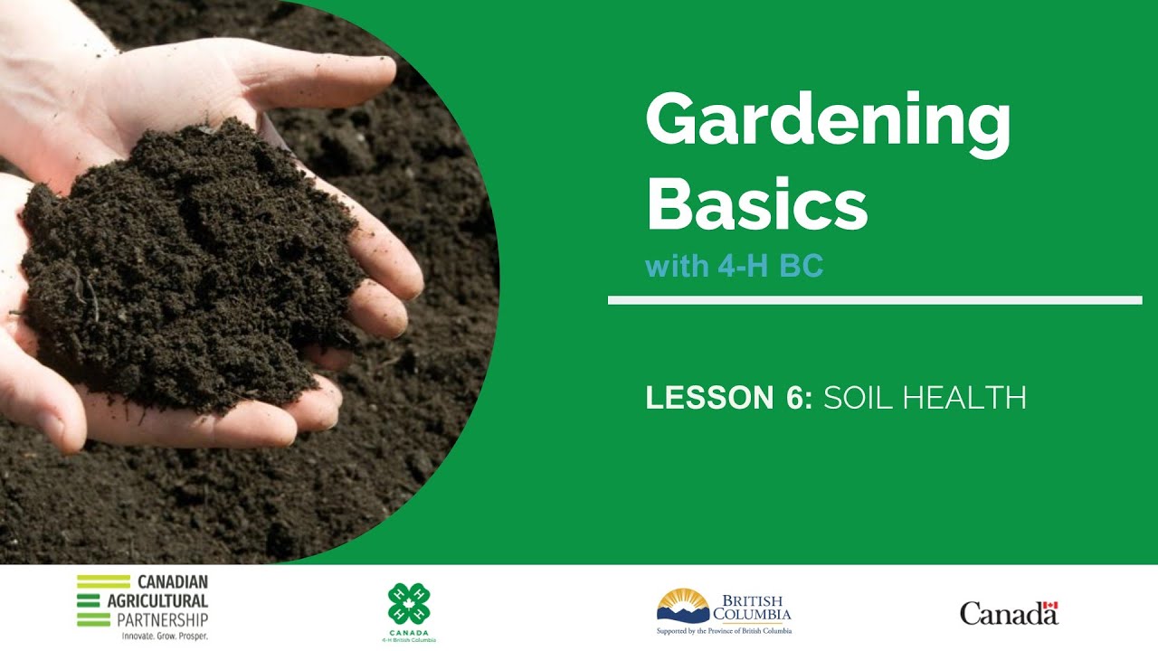 Gardening Basics with 4-H BC: Lesson 6 - Soil Health - YouTube