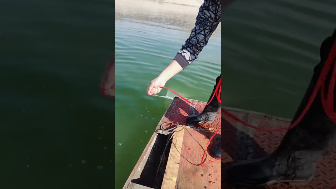throw nets for fishing | throw cast net fishing | throwing fishing net ...