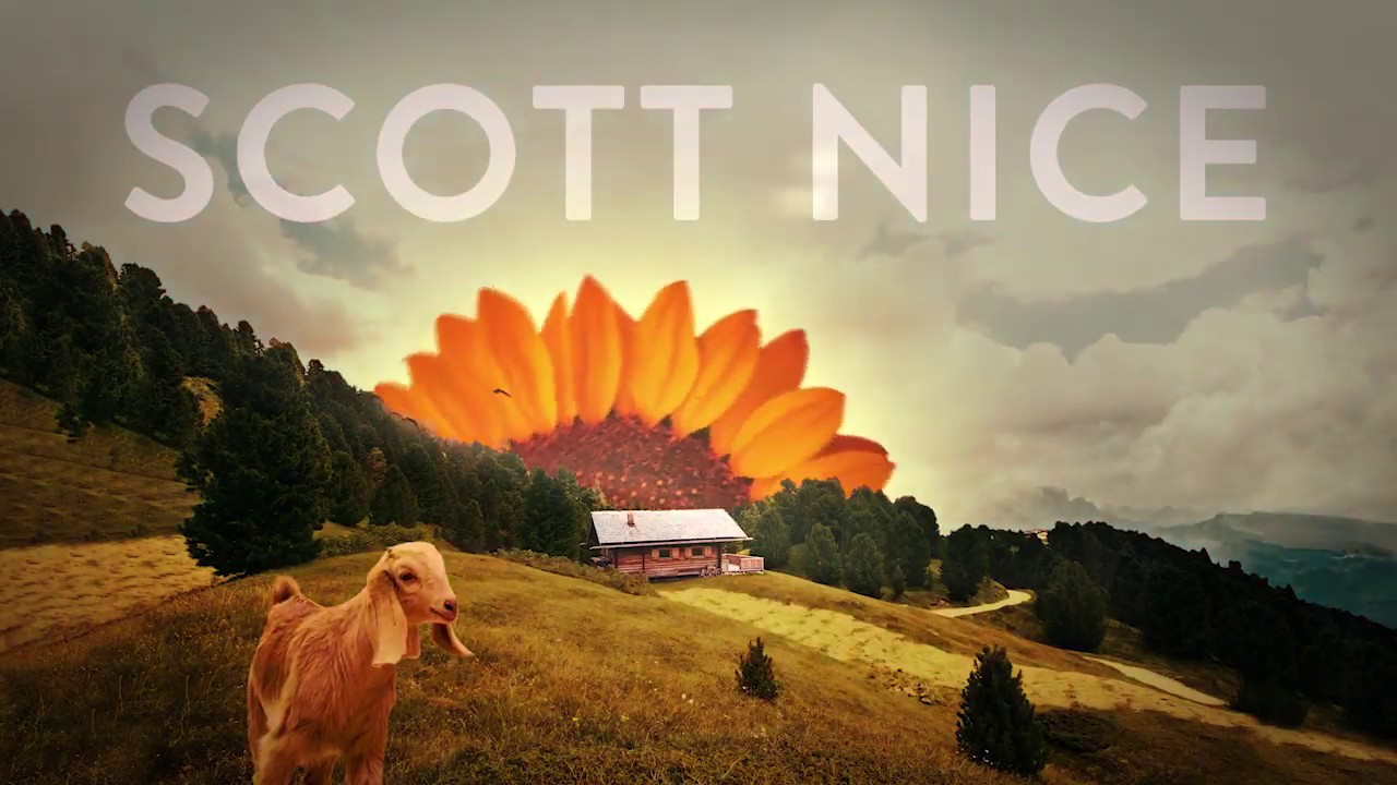 Heron Song by Scott Nice - YouTube