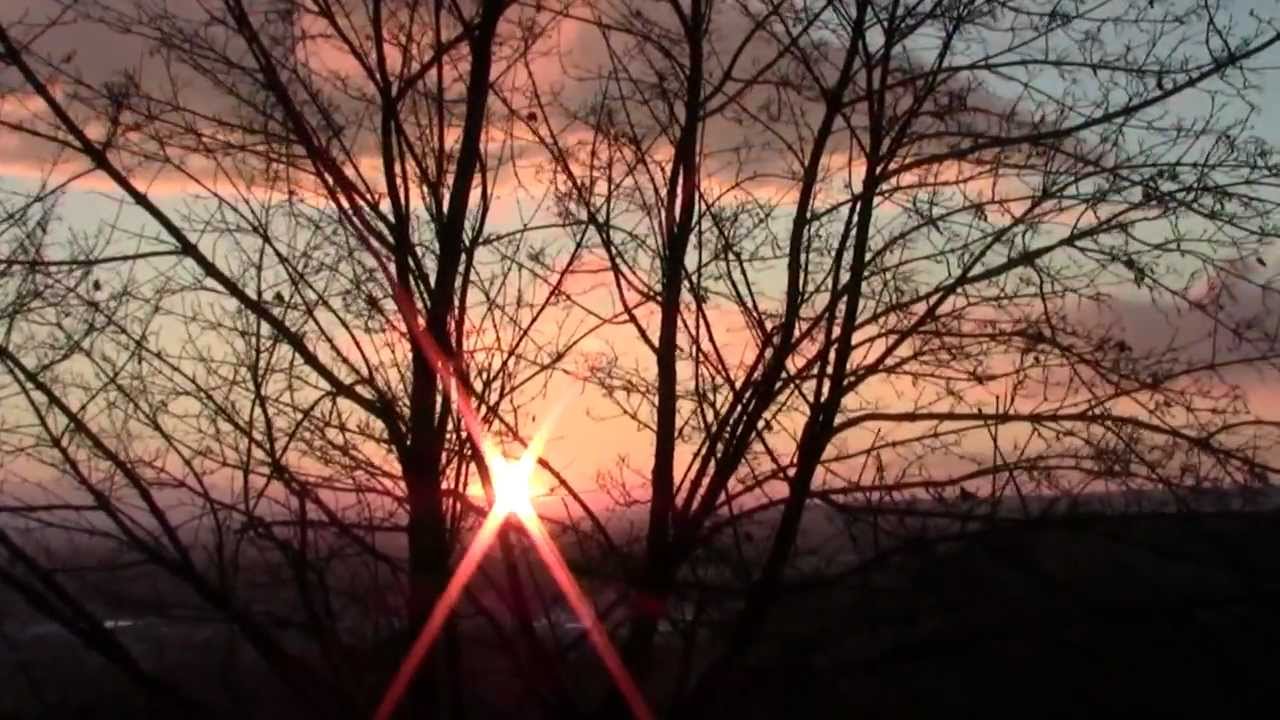 Two Owls Mating At Sunset - YouTube