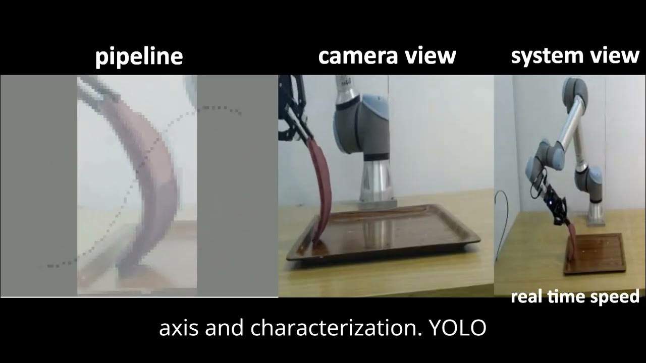 Deformable Linear Object Surface Placement Using Elastica Planning and Local Shape Control - YouTube