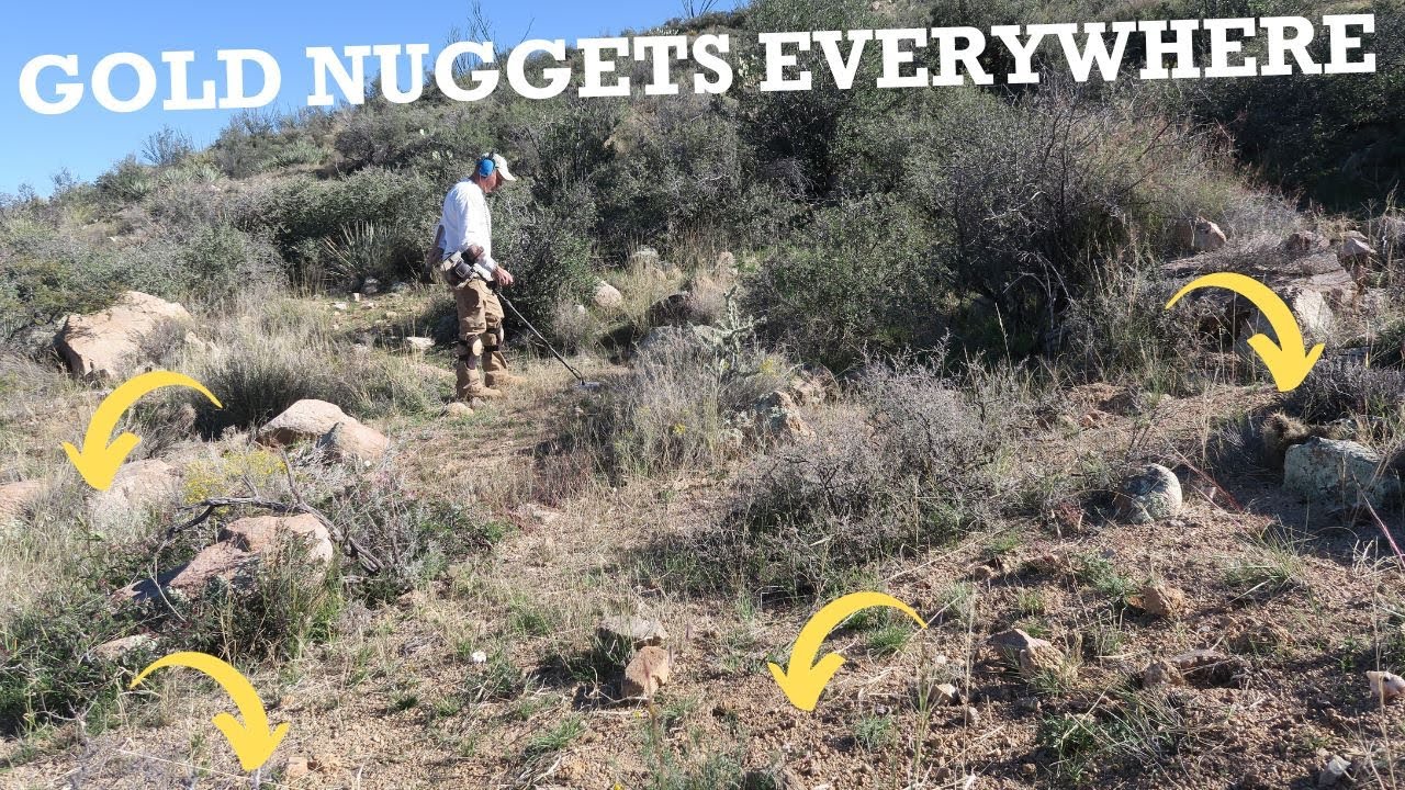 How To Find Gold Nuggets Metal Detecting/Prospecting With The Minelab ...