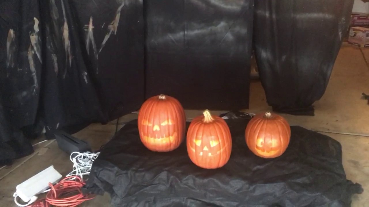 Setting up singing pumpkins - YouTube