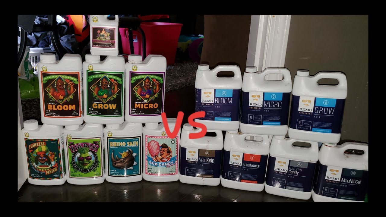 2x2x4 Grow Tent day 25/26 seedling update Remo vs advanced nutrients ...