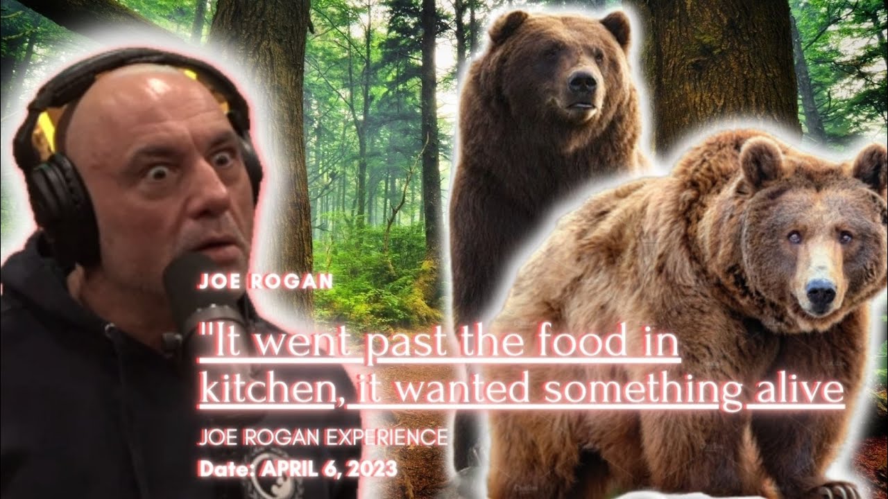 Joe Rogan reacts to Man Shoots KODIAK BEAR Inside Neighbor's House With ...