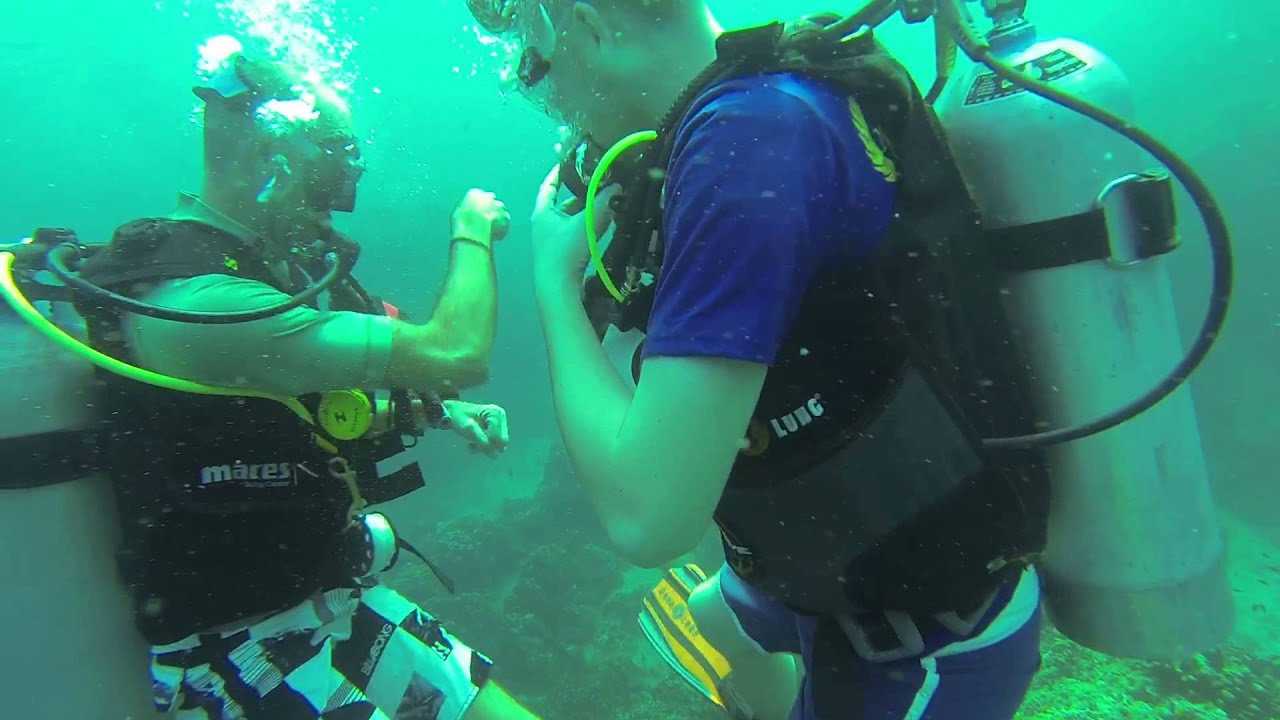 Diving - YouTube