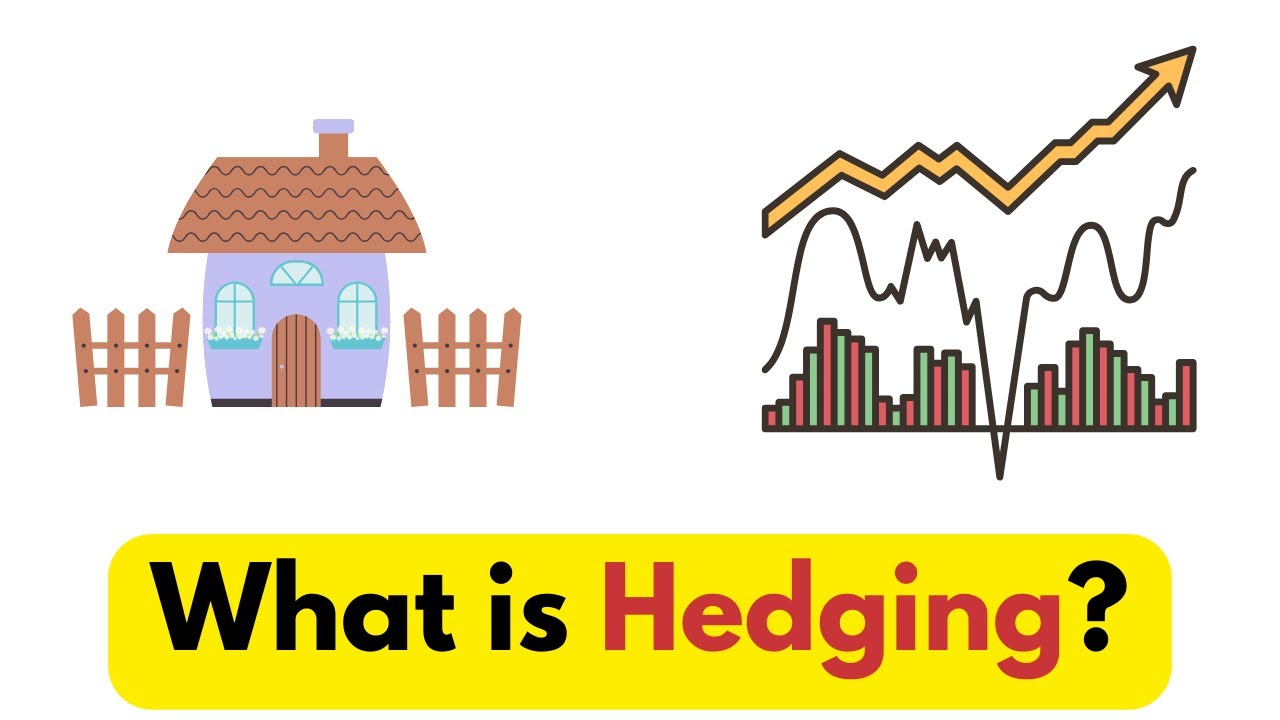 Basics of Futures and Options - 10 - Concept of Hedging - YouTube