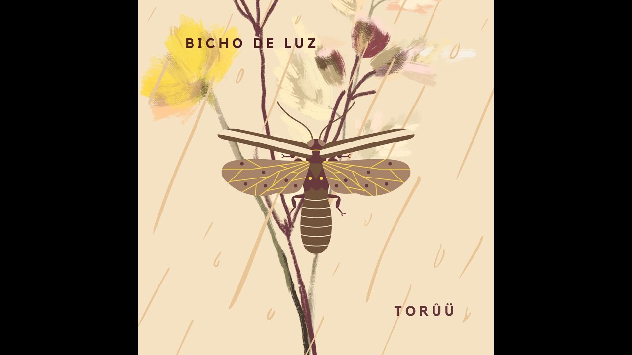 Torûü - Bicho de Luz (Video Lyric Oficial) - YouTube