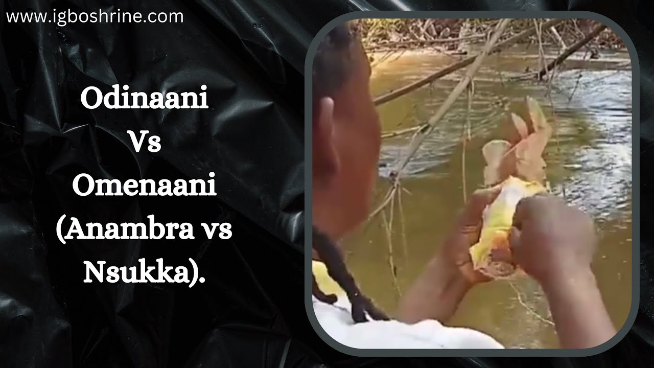 Explaining Odinaani and Omenaani with real-life experience. - YouTube