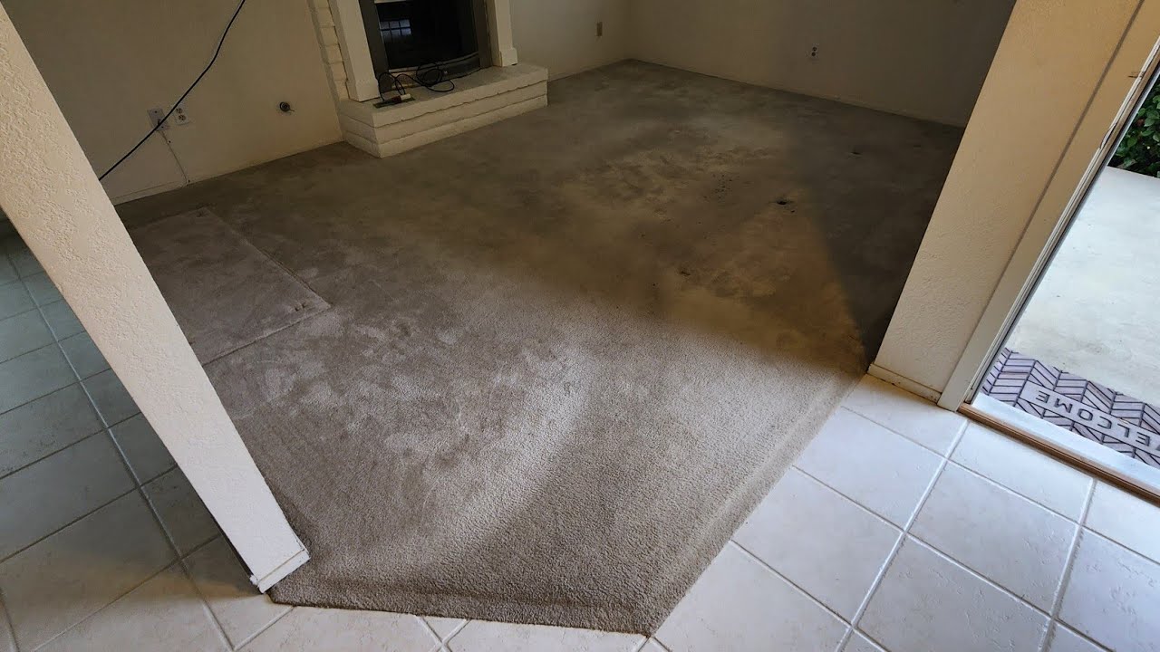 Watch This Filthy Carpet Transform in Minutes! Satisfying Deep Cleaning ...