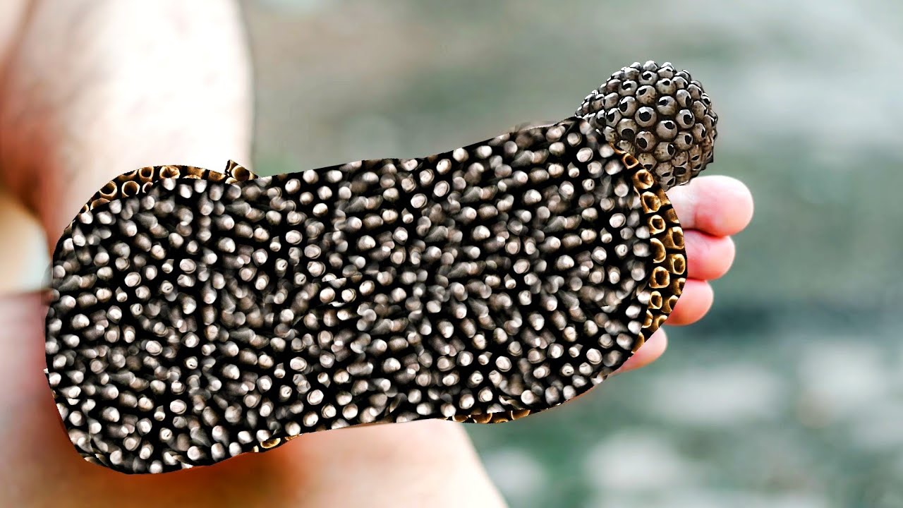 ASMR removal trypophobia maggot infected toe | ASMR toe treatment of ...