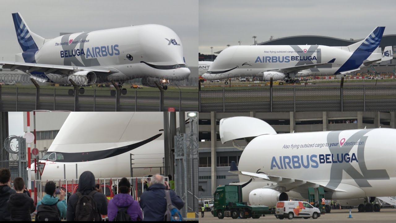 Hundreds gather to watch huge Airbus Beluga XL arrive into Heathrow for ...