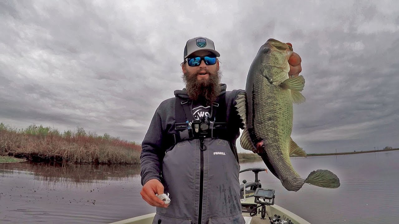 Color Change Matters Bass Fishing Ca Delta - YouTube