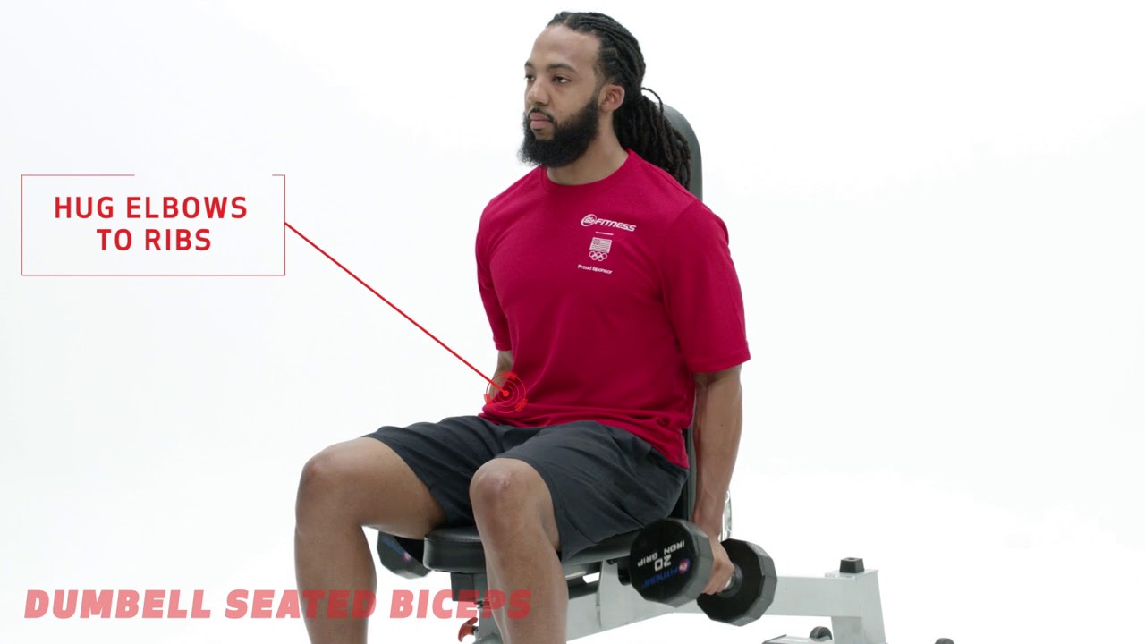 Dumbbell Seated Bicep Curl—Swimmer’s Strength Workout - YouTube