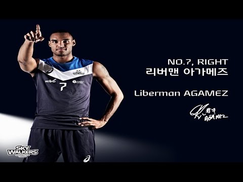 Liberman Agamez 2013-14 Season Best highlight in Korea(King Kong ver.)