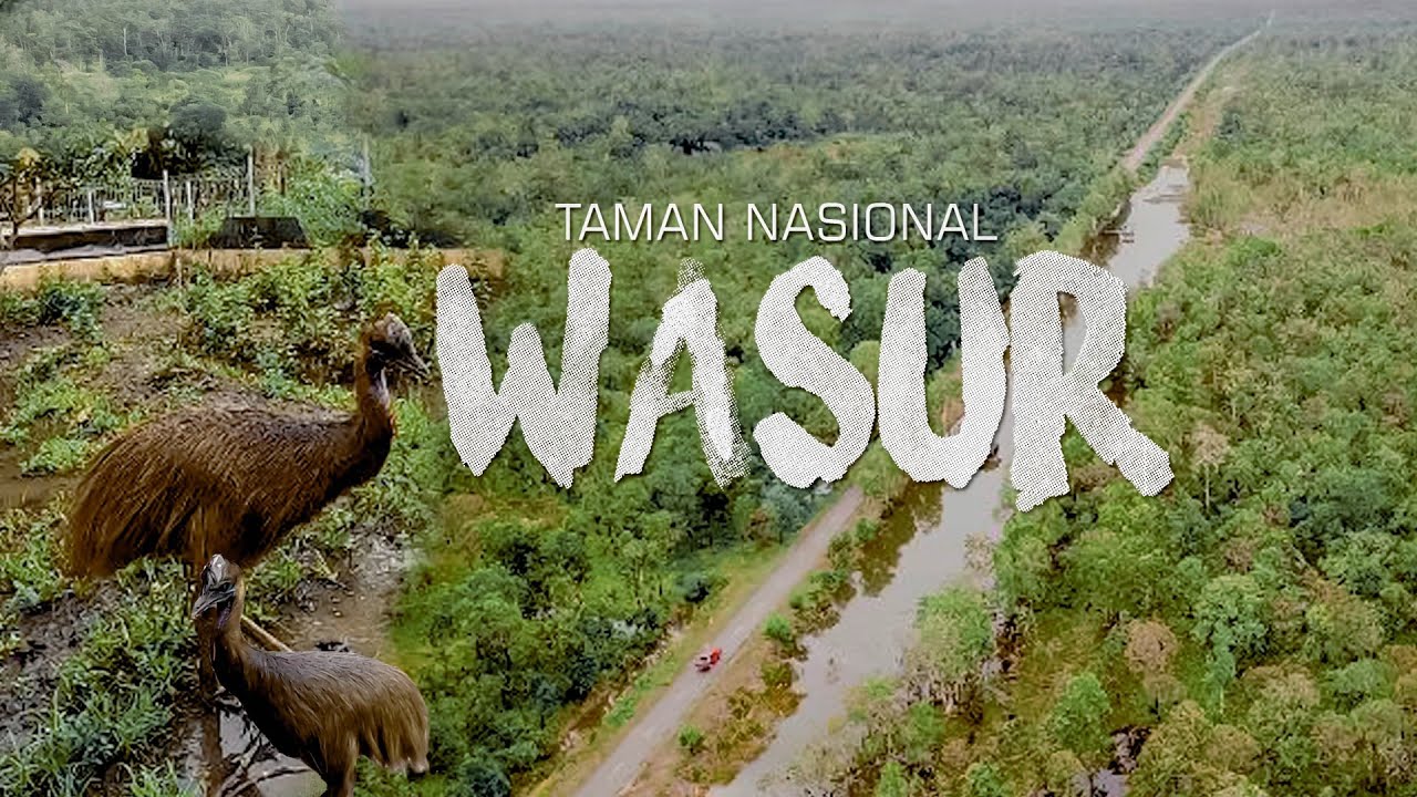 Taman Nasional Wasur - Perumperindo.co.id