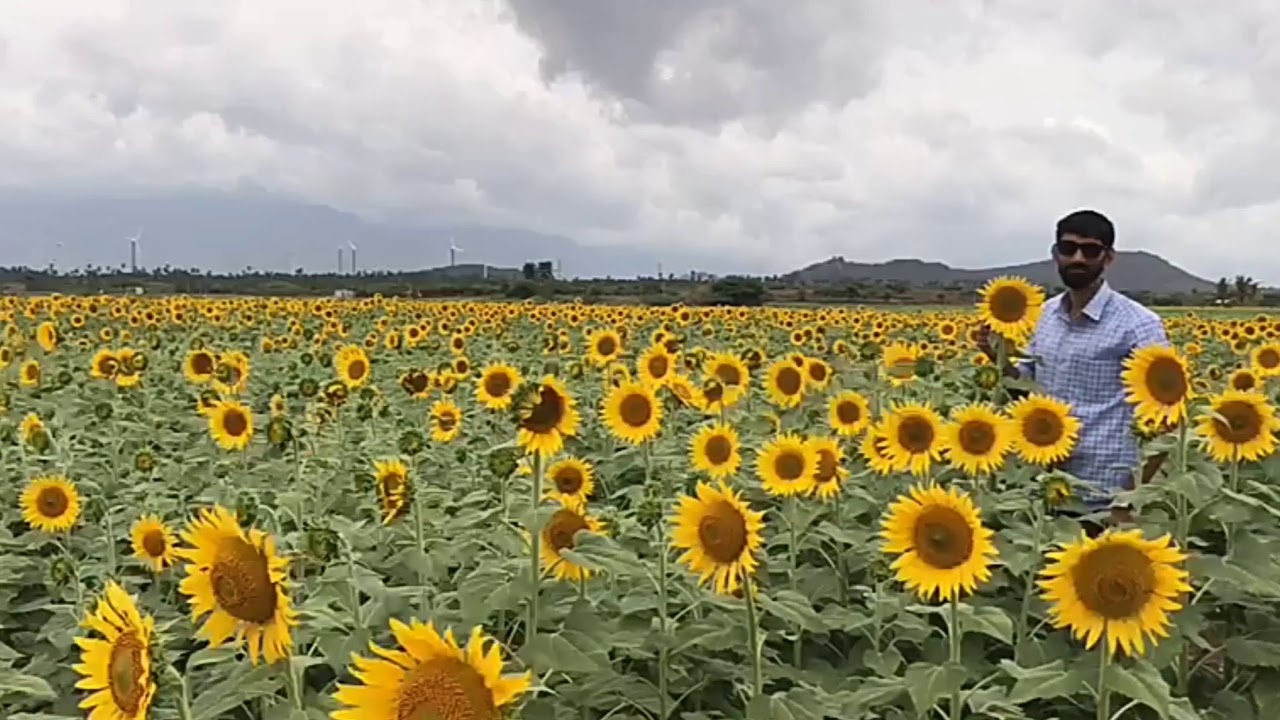 Sundarapandipuram - YouTube