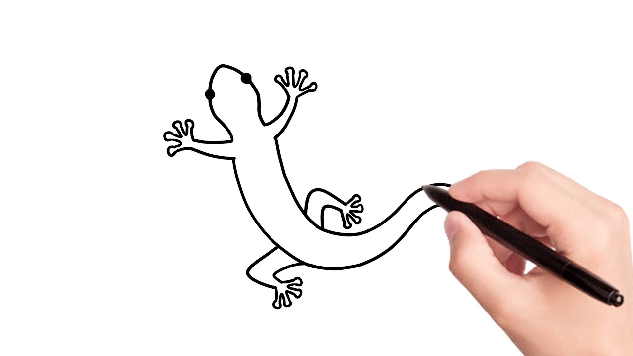 How to Draw a Gecko / Lizard Easy and Simple - YouTube
