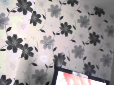 Scottish parrot - YouTube