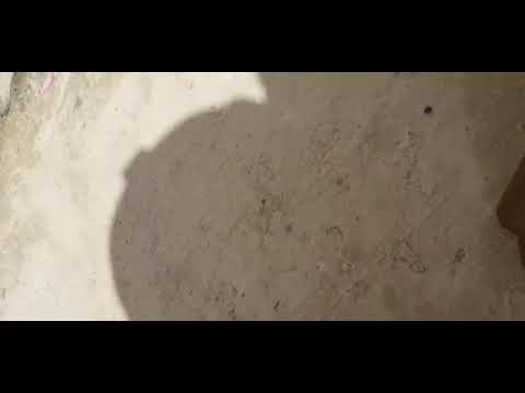 Banaanka Guri filo ah, - YouTube