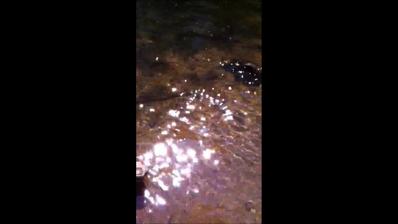 Cascade at Lake Mohegan, Fairfield, CT - YouTube