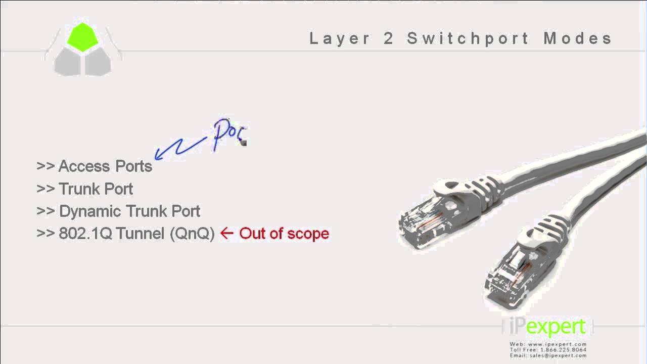 07 Ipexpert Vlans And Trunking Theory Flv Youtube
