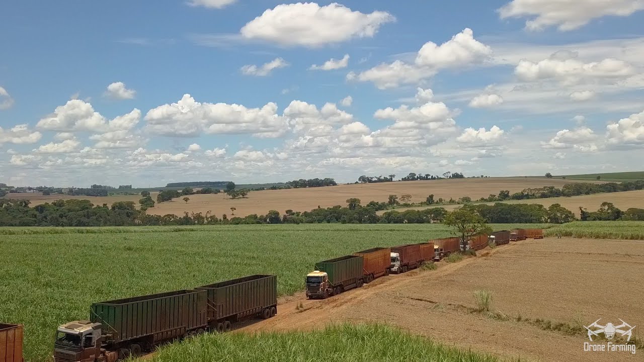 ALGUÉM - JOÃO PAULO E DANIEL (DRONE FARMING) - YouTube