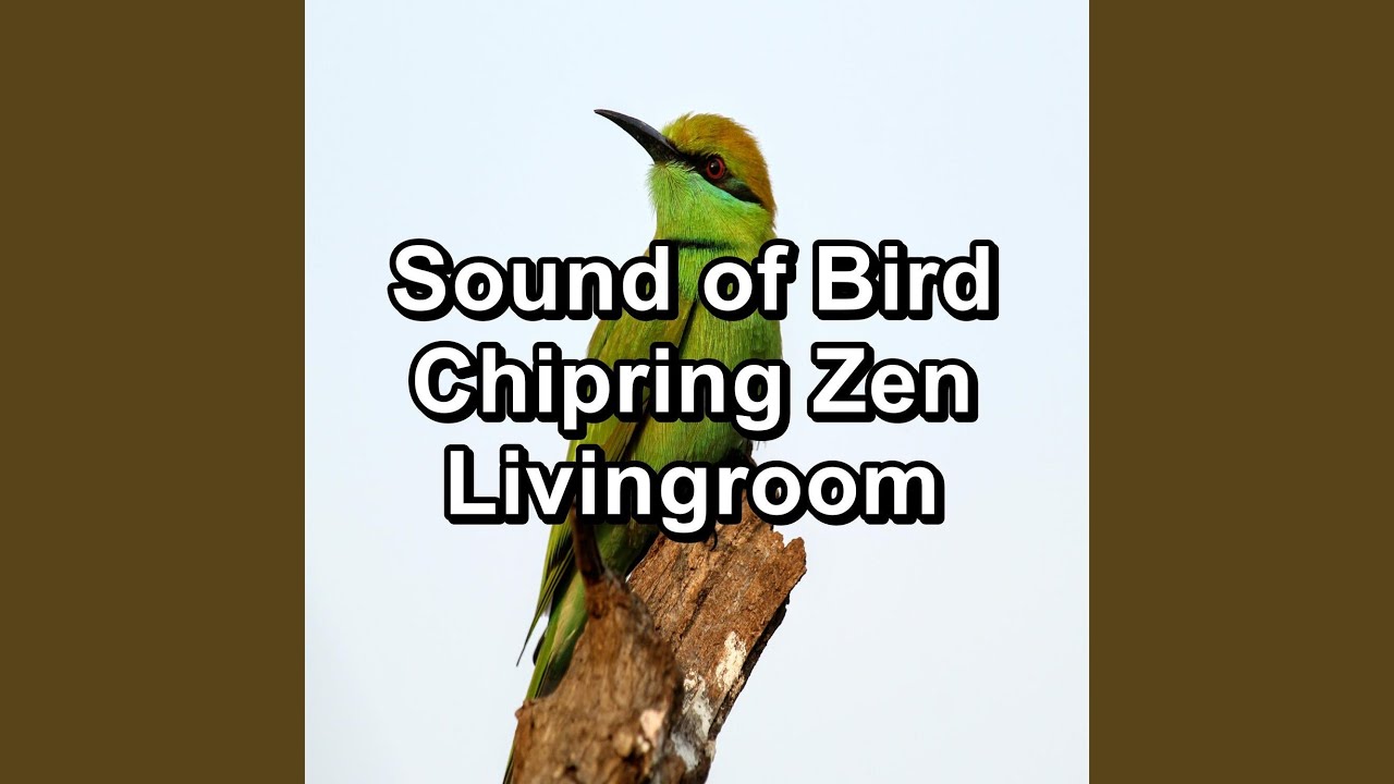 Beautiful Bird Sounds Garden Bird Songs To Loop as Long as you Need ...