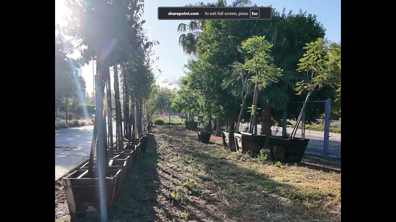 Learn about CSUN's Campus Trees & Tree Campus USA recognition - YouTube