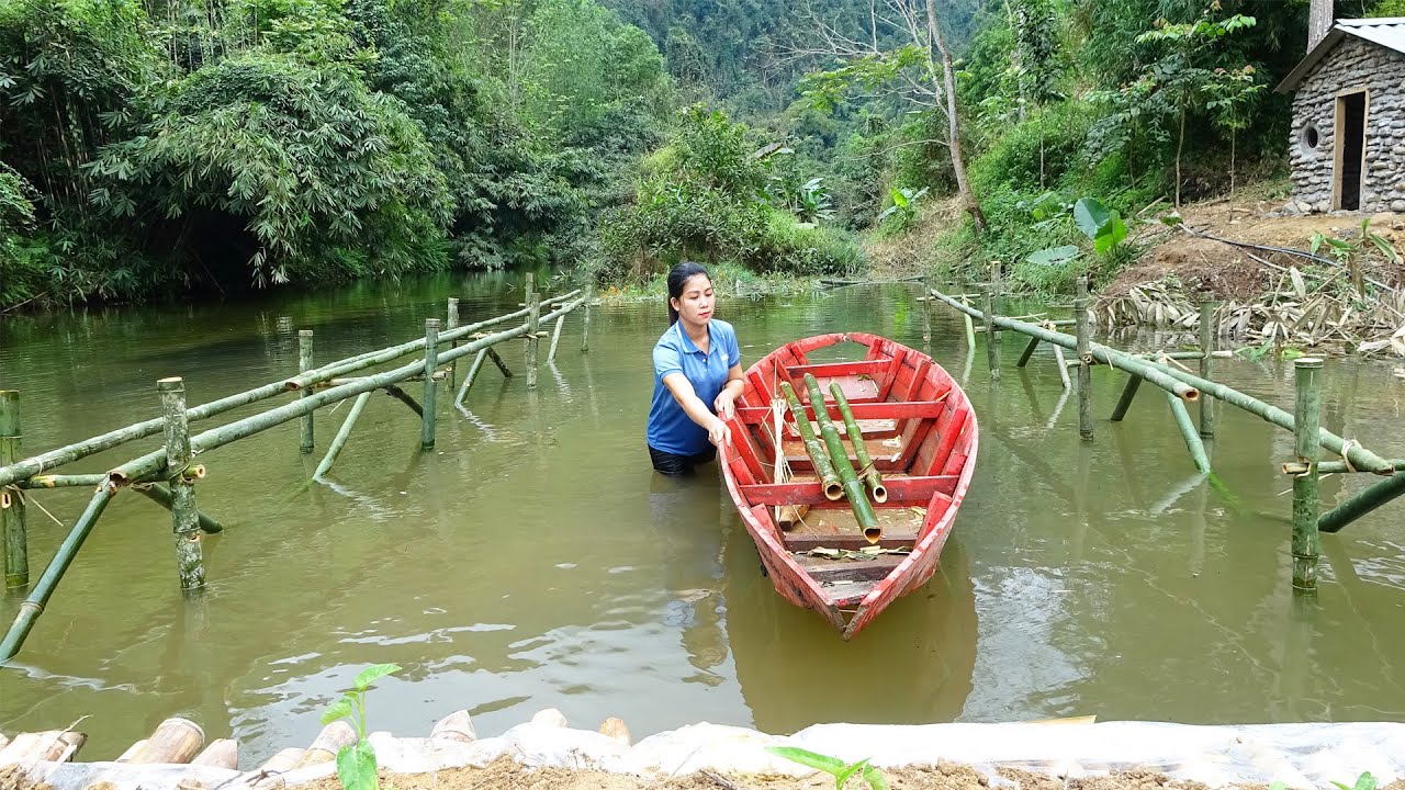 Plan to raise fish in cages in streams - Transporting bamboo and making ...