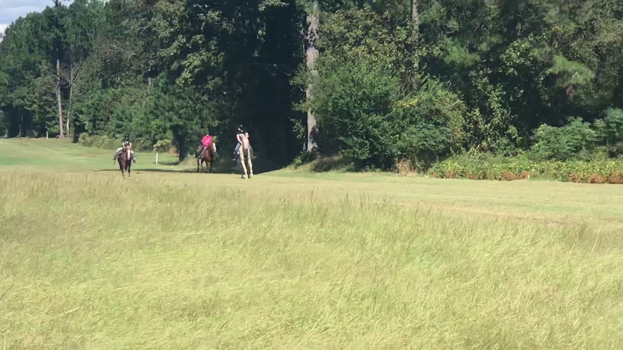Racing Chance, Butterscotch, & Minnie - YouTube