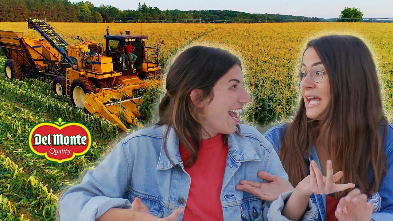 City Folk Work a Farm for a Day // Presented By BuzzFeed & Del Monte ...