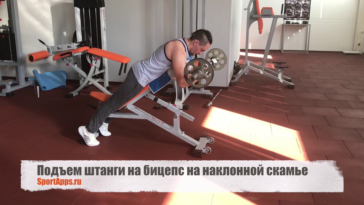 Подъем штанги на бицепс на наклонной скамье Youtube