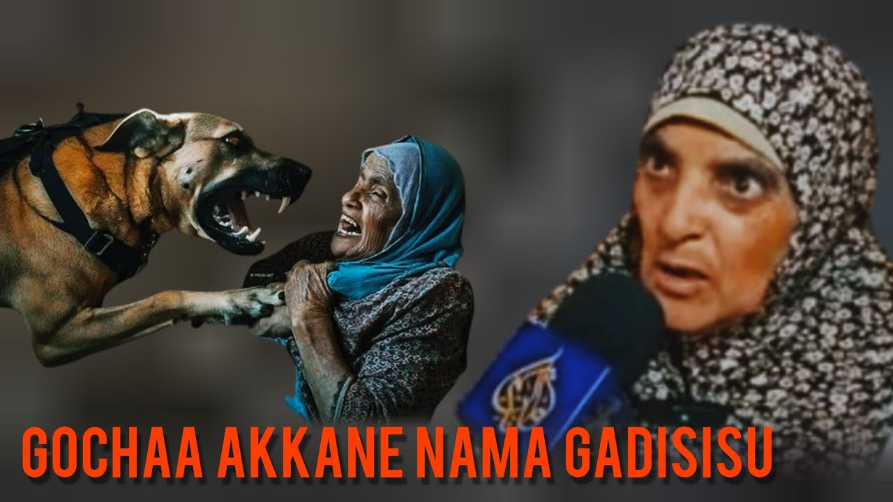 Gochaa Akkaane Nama Gadisisuu. - YouTube