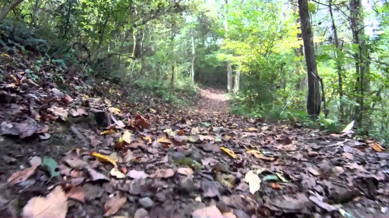 Salt Run Trail / Lake Trail Loop - Cuyahoga Valley NP - YouTube